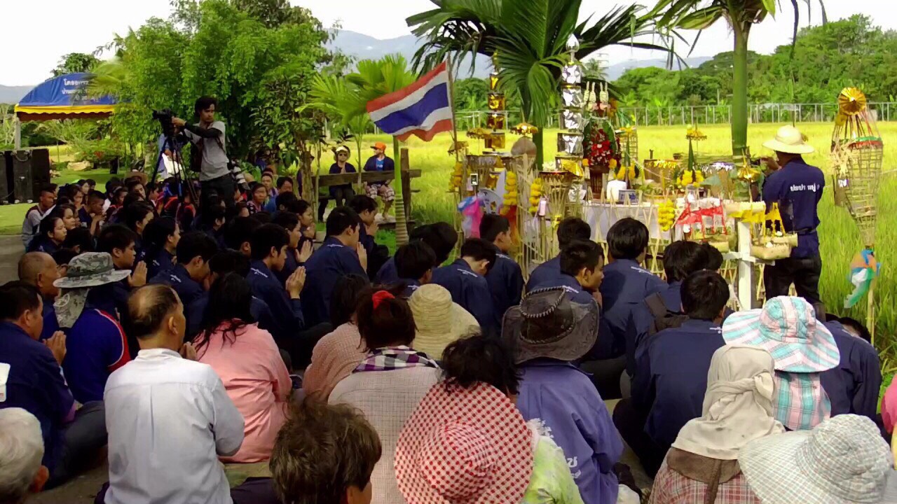 Students, Police and Soldiers Donate Organic Rice to Children in Need ...