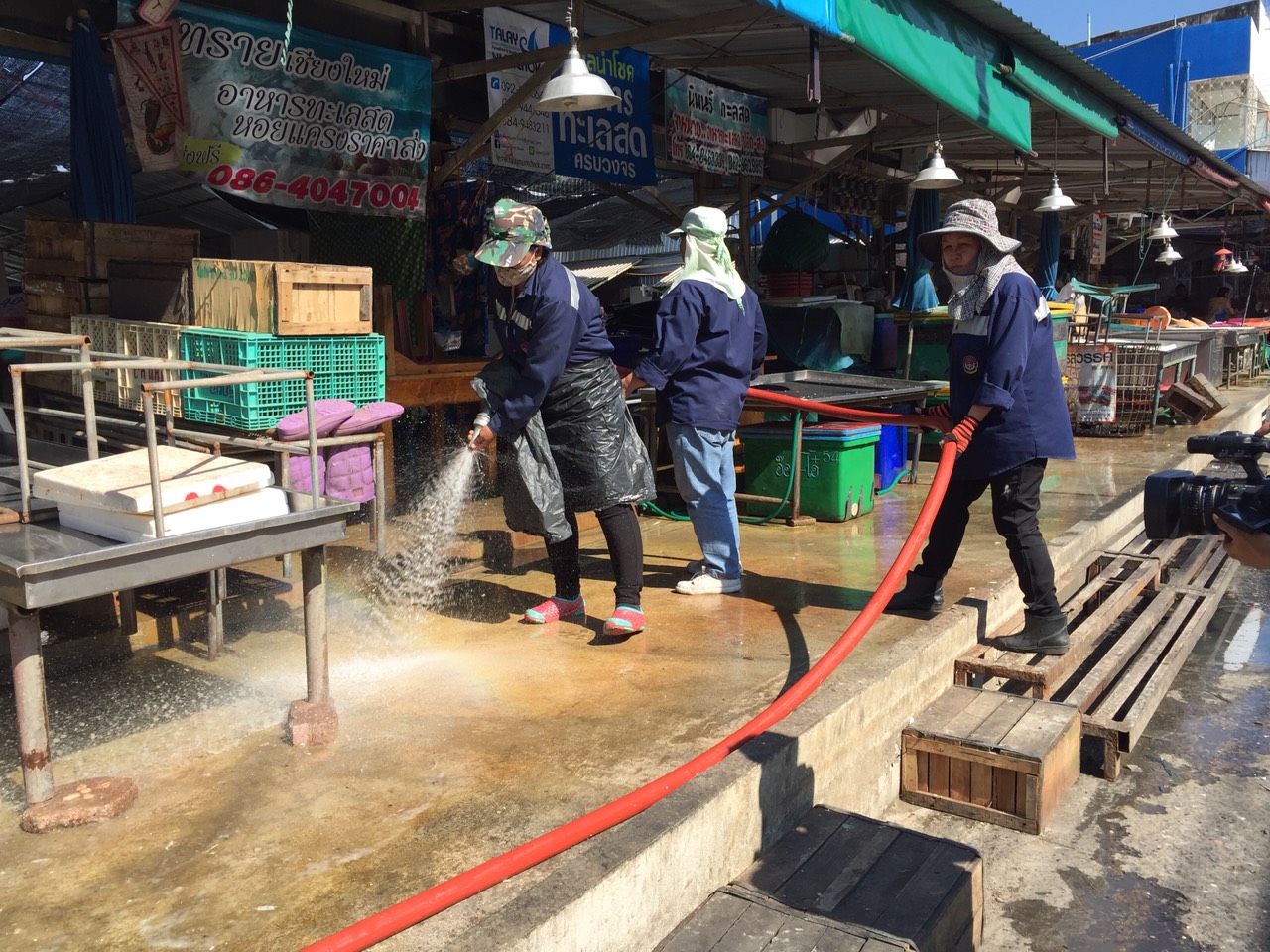 Rats in Market Video Goes Viral, Forces Market Clean-up Project in ...