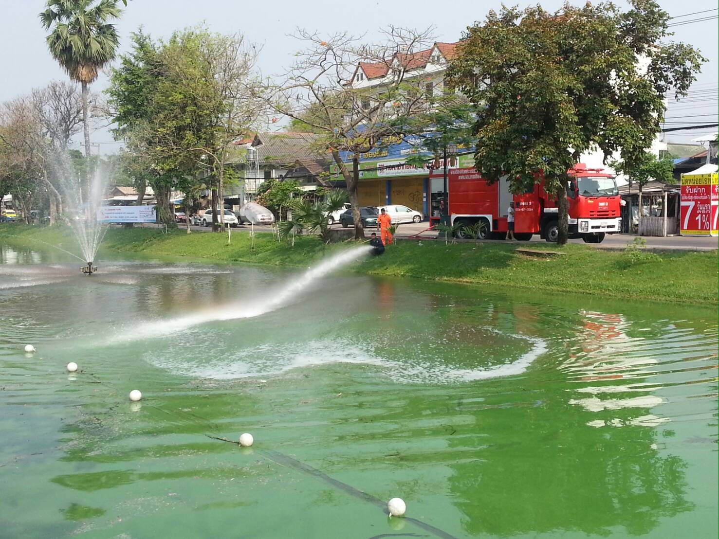 Moat Water Clean Says Municipality After Complaints - Chiang Mai ...