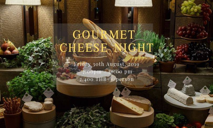 Gourmet Cheese Night