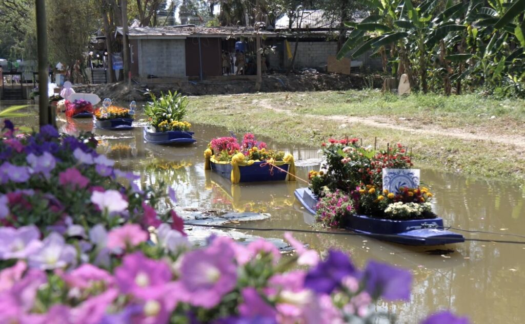 Mae Kha Canal slowly becoming a major attraction following massive ...