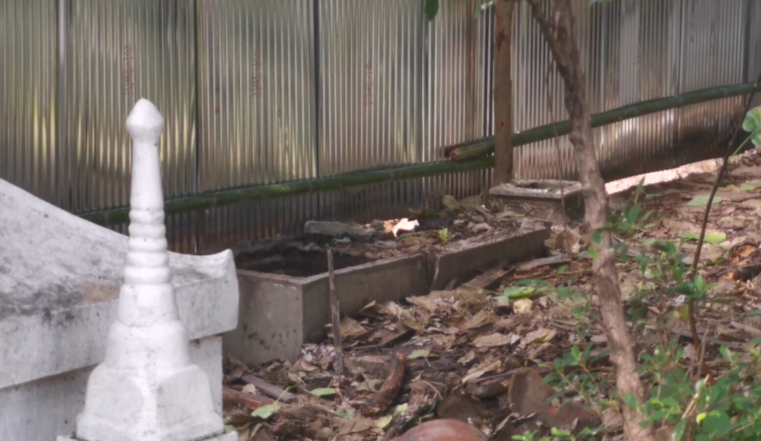 Wat Lam Chang’s wall to be rebuilt - Chiang Mai Citylife CityNews